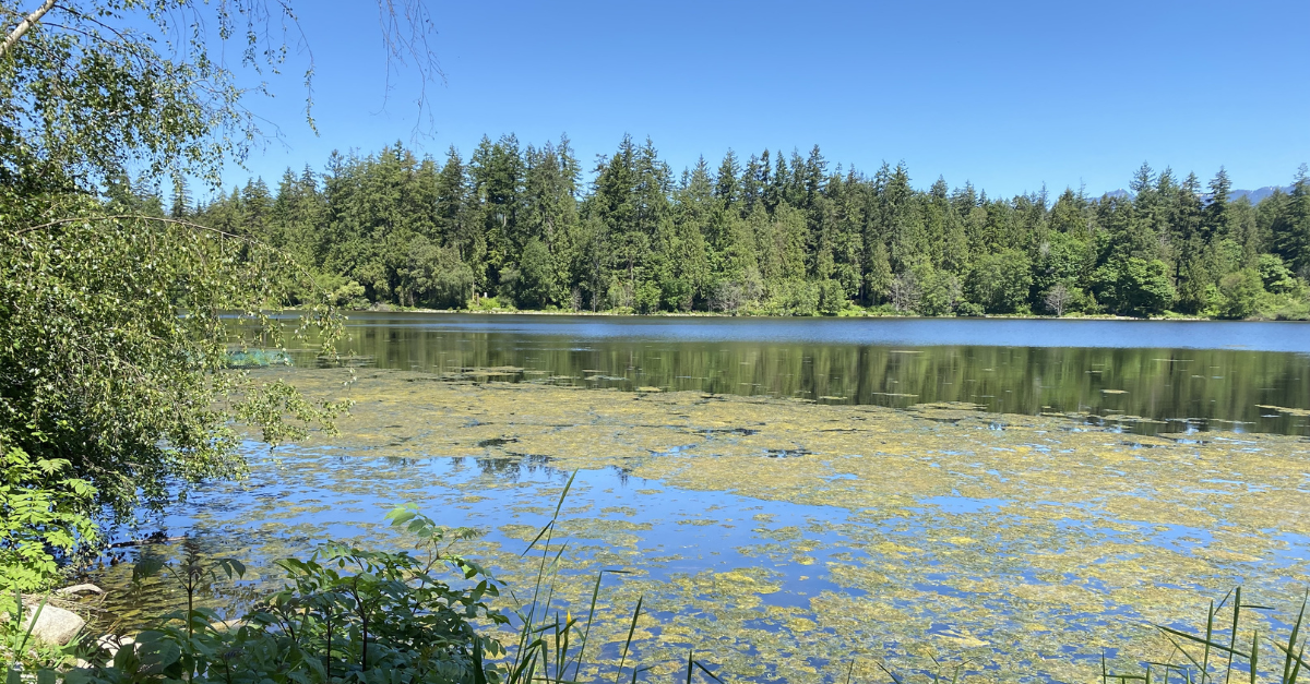 Park Board endorses next step to reconnect and restore Lost Lagoon ...