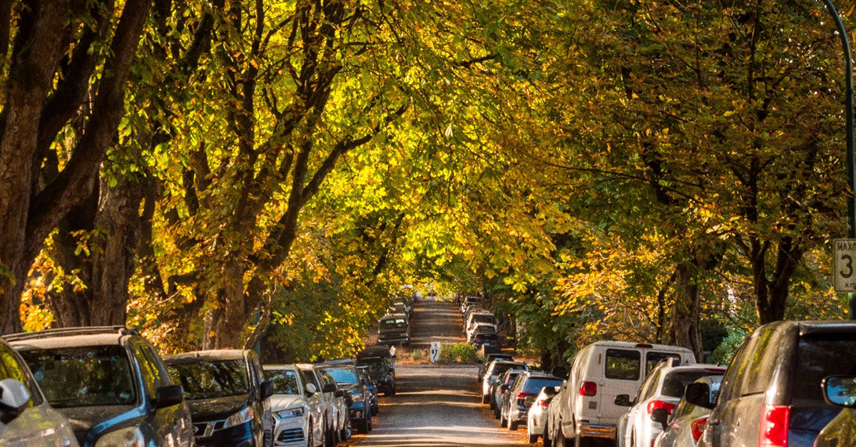 Vancouver's urban forest | City of Vancouver