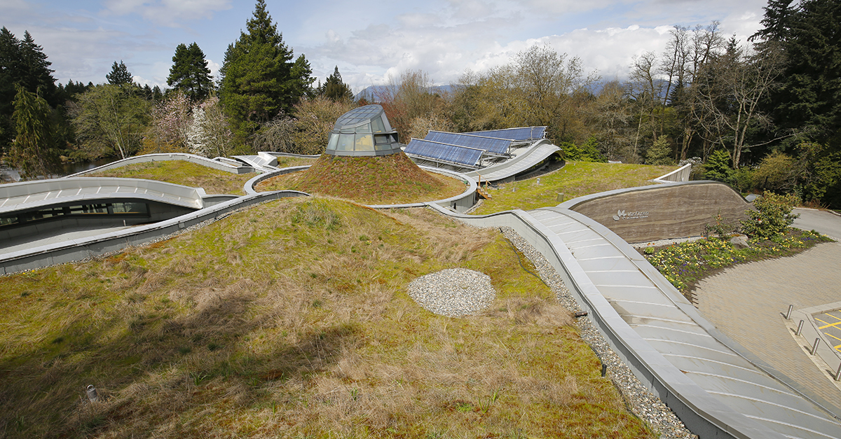 Green roofs | City of Vancouver