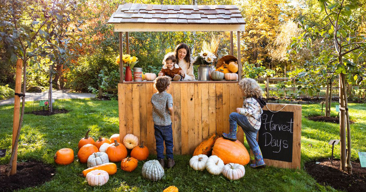 Celebrate the fall season with Harvest Days at VanDusen Botanical ...