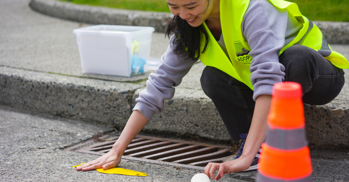 Yellow Fish Program | City of Vancouver